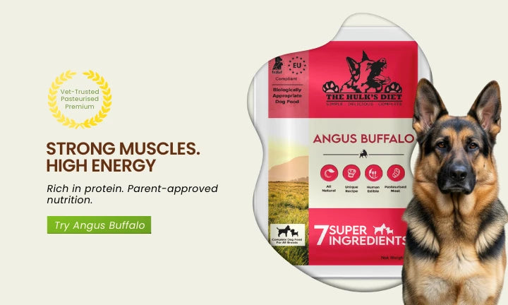 Angus Buffalo – The Hulk's Diet